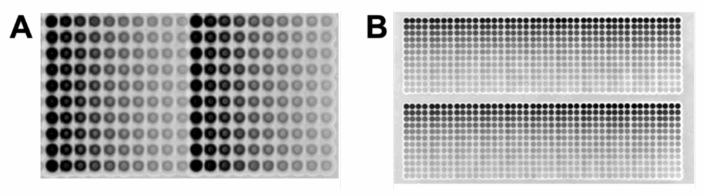 RPPA: Transition from contact pin spotting to inkjet printing