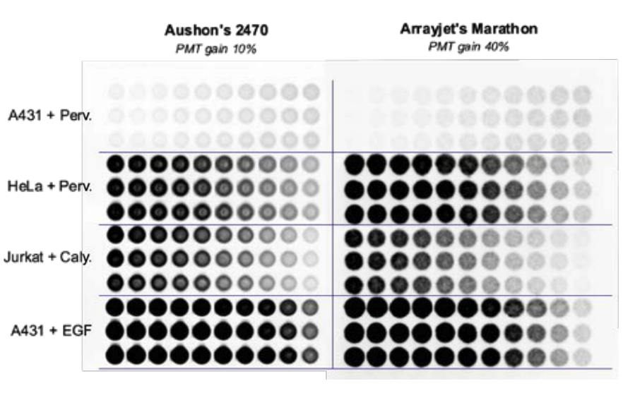 RPPA: Transition from contact pin spotting to inkjet printing